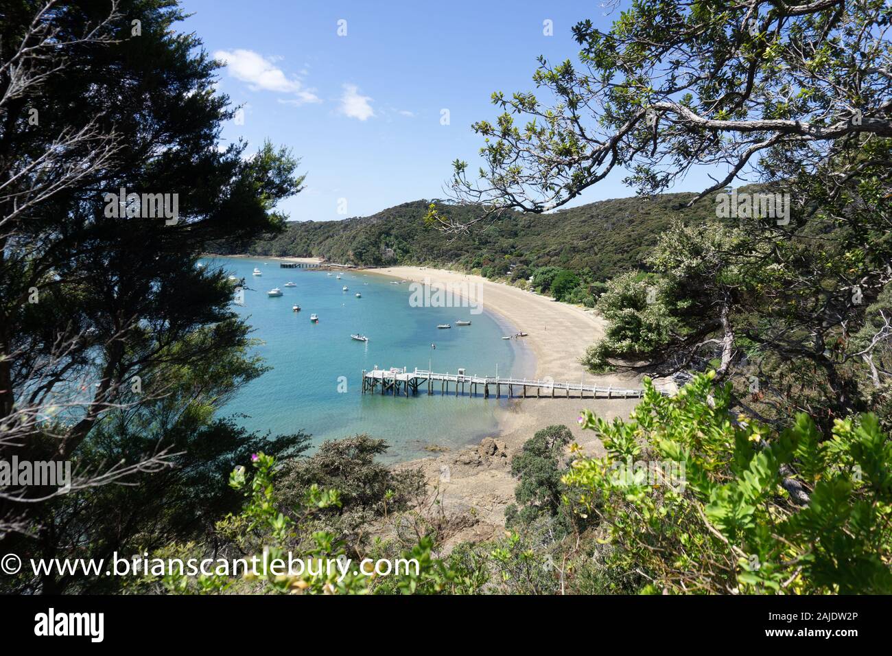 Vivian bush hi-res stock photography and images - Alamy