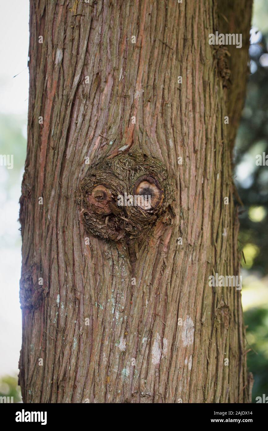 Japanese Knot High Resolution Stock Photography and Images - Alamy