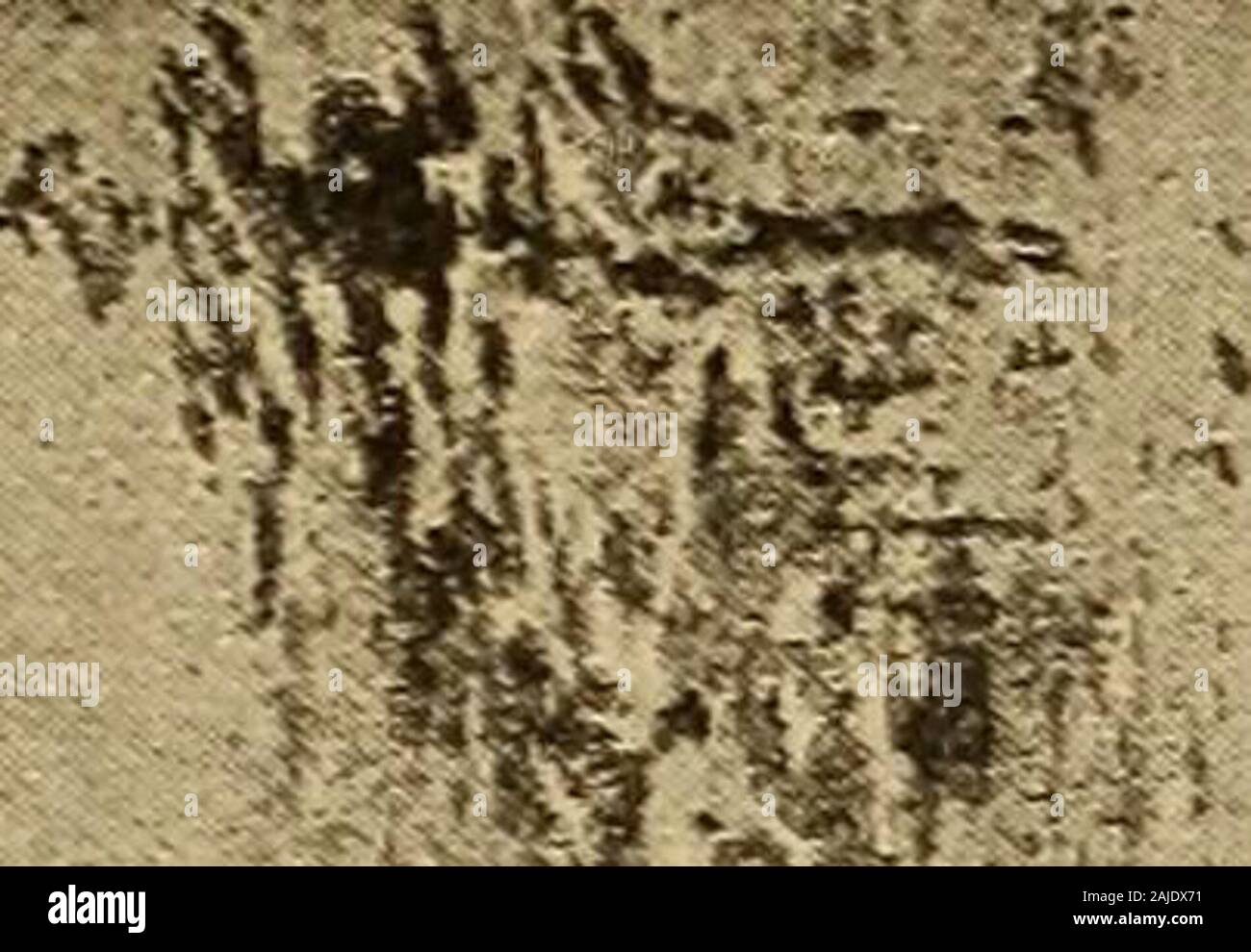 James Hannington, D.D., F.L.S., F.R.G.S., first bishop of eastern ...