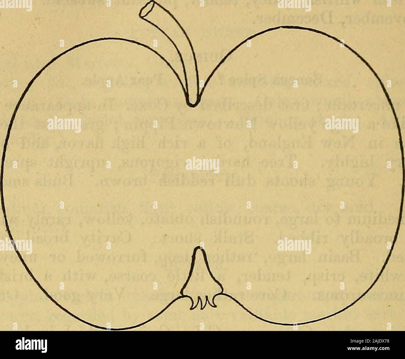 Rambo trees hi-res stock photography and images - Alamy