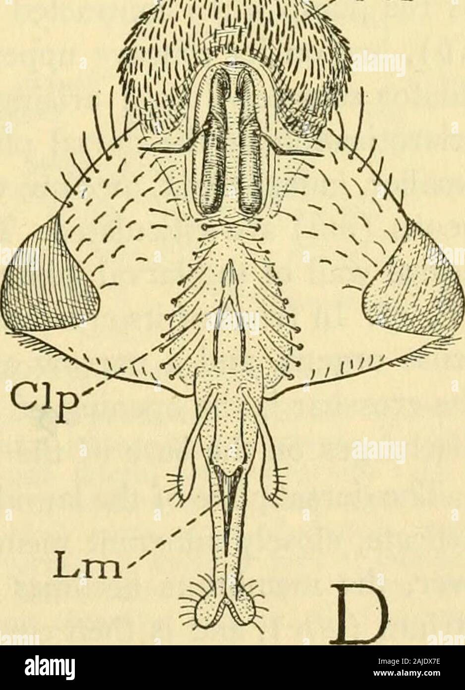 Smithsonian miscellaneous collections . Pbl. Fig. i.—Head and proboscis ...