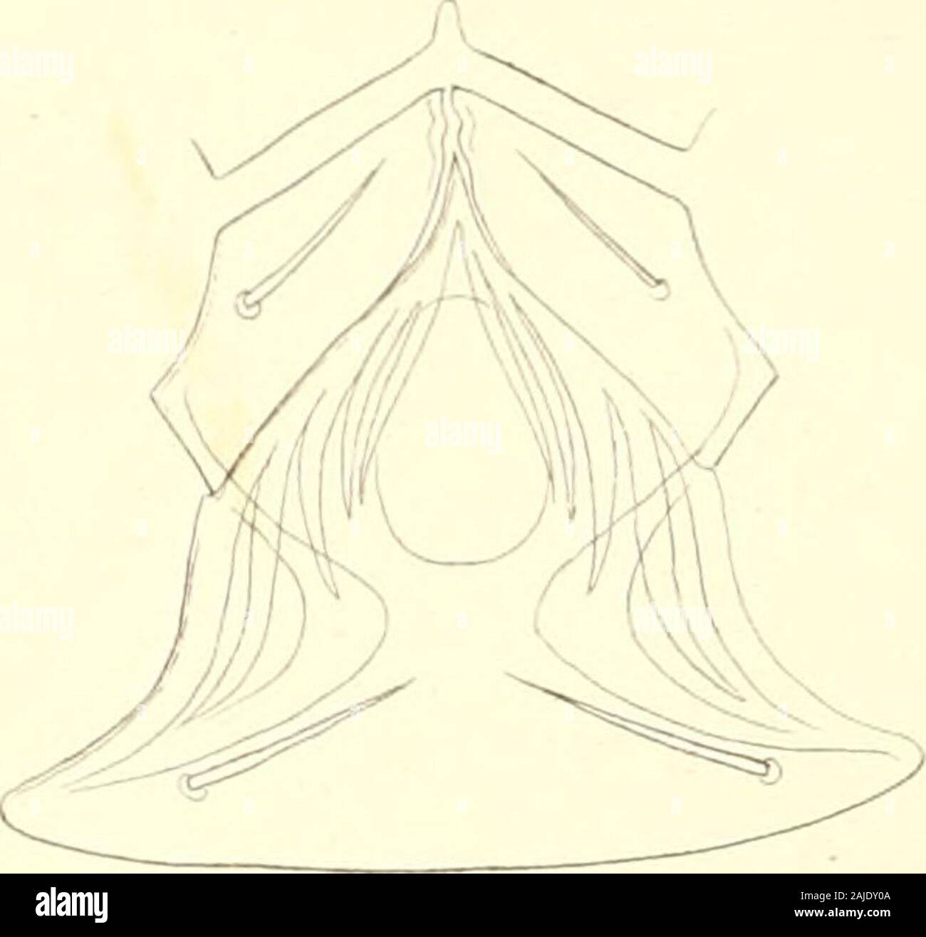 Ljj hi-res stock photography and images - Alamy