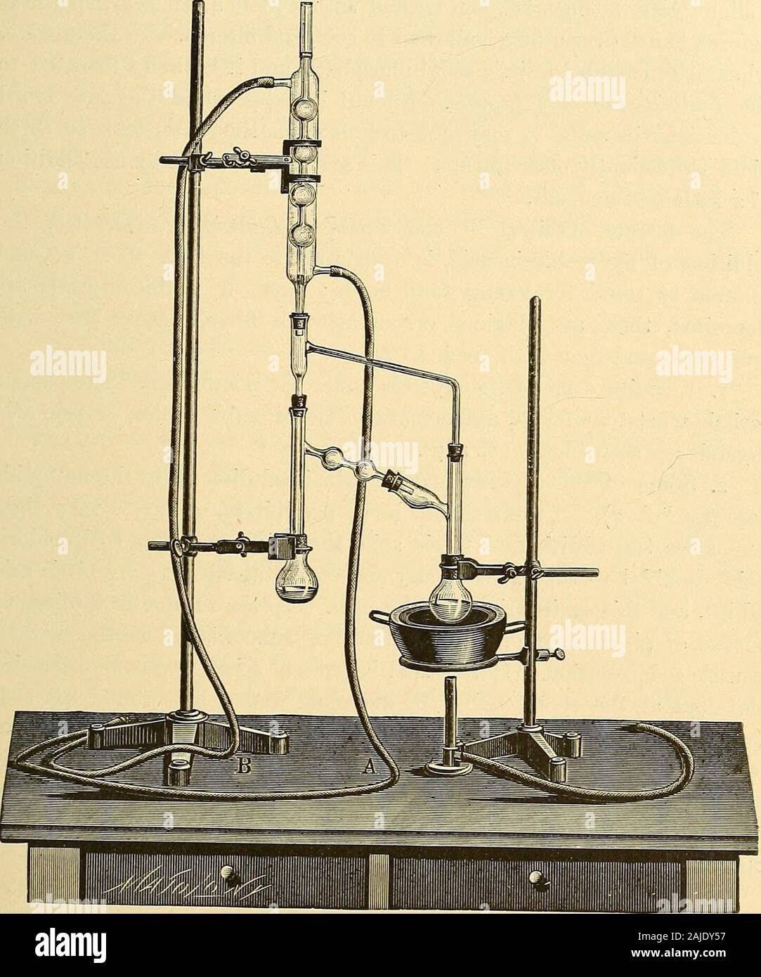 Clinical diagnosis : the bacteriological, chemical, and microscopical ...