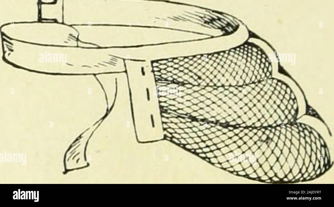 Polison hi-res stock photography and images - Alamy