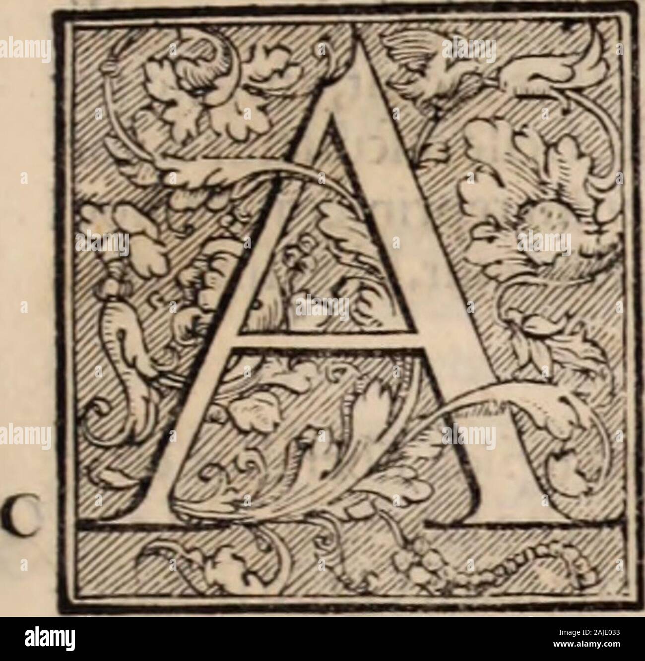 Porius hi-res stock photography and images - Alamy