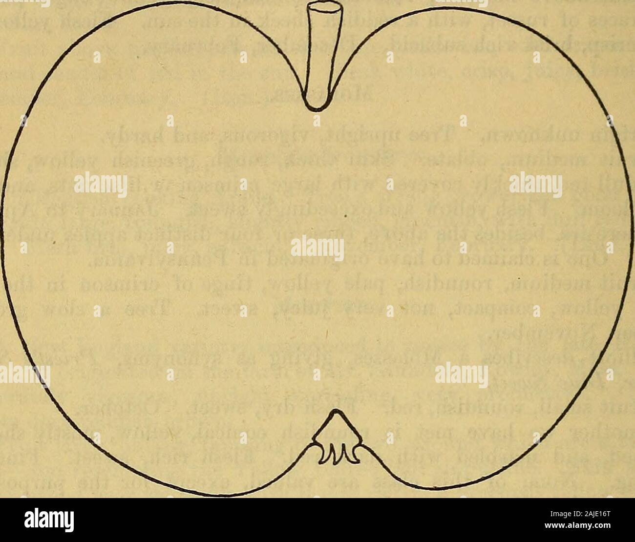 Five angled fruits hi-res stock photography and images - Alamy