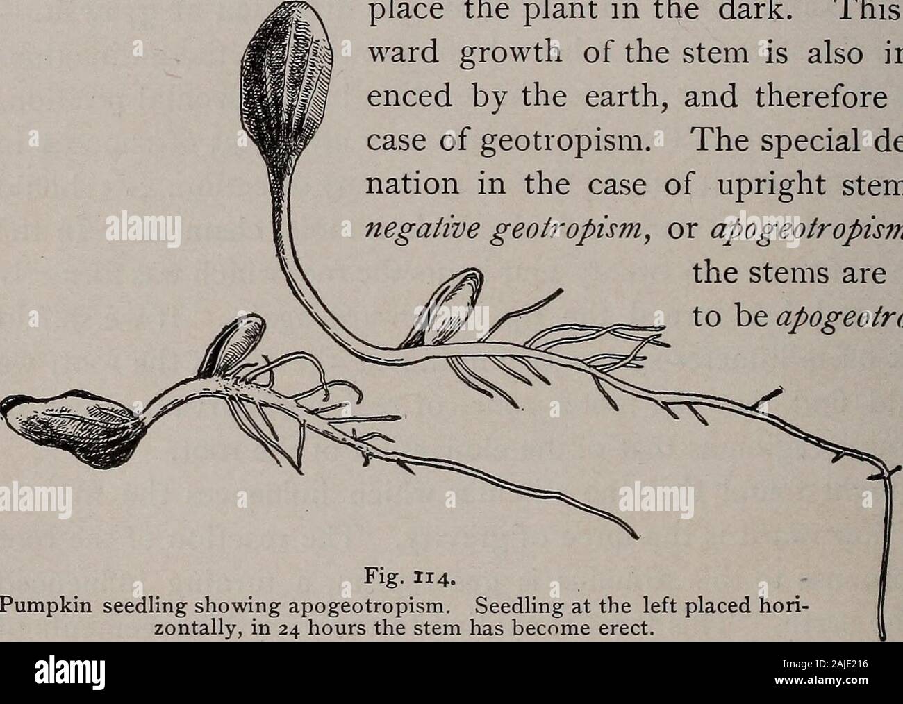 Influ enced hi-res stock photography and images - Alamy