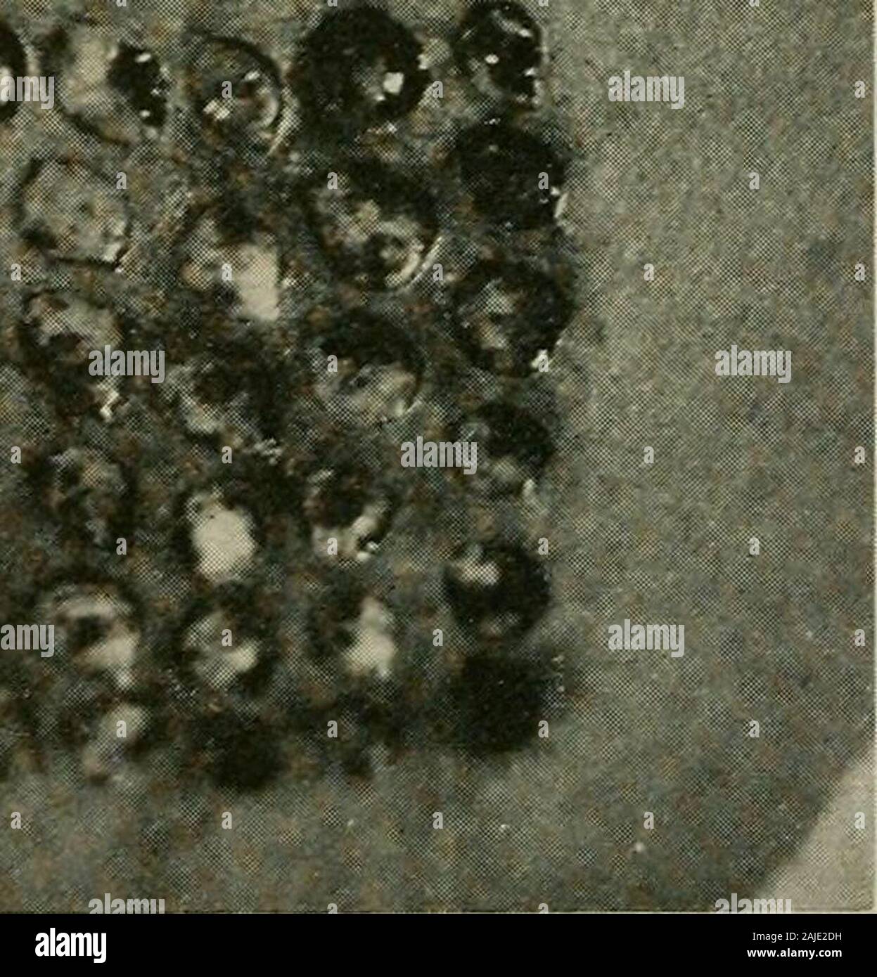 Punched pits hi-res stock photography and images - Alamy