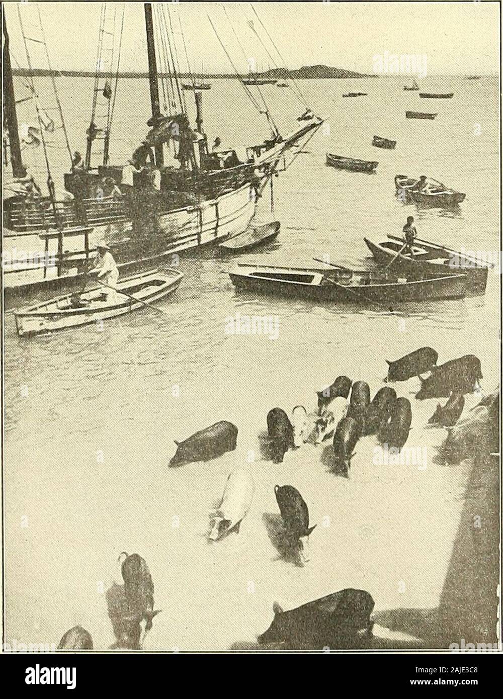 Panama and the canal in picture and prose .. . most enduring monuments ...