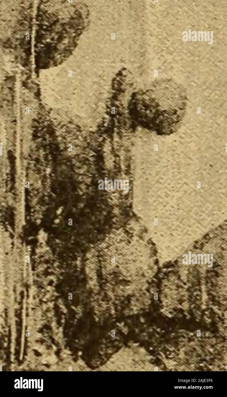 M r bishop hi-res stock photography and images - Alamy