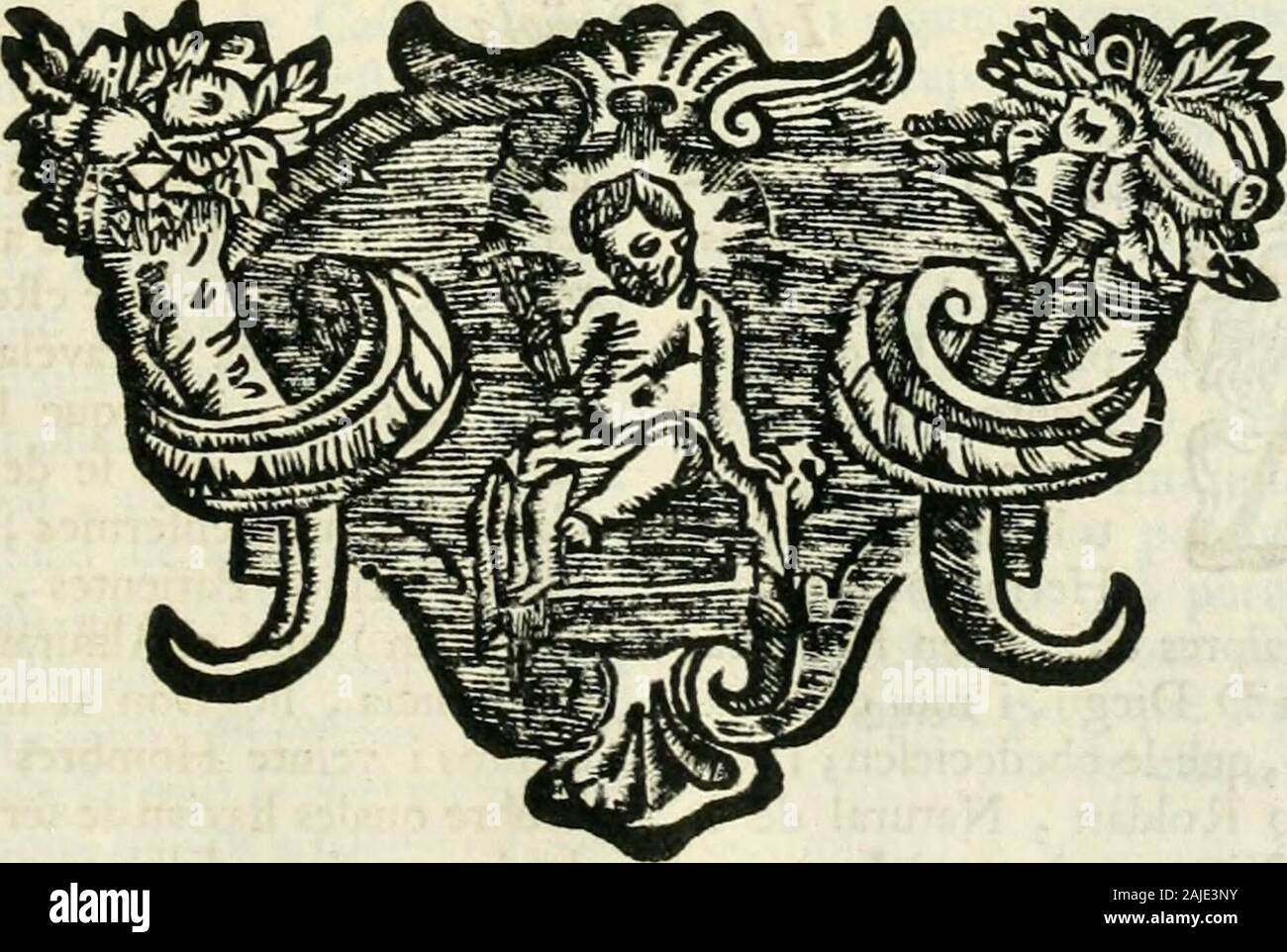 Talega hi-res stock photography and images - Alamy