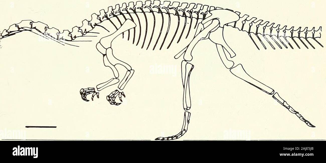 Annals of the South African Museum = Annale van die Suid-Afrikaanse ...