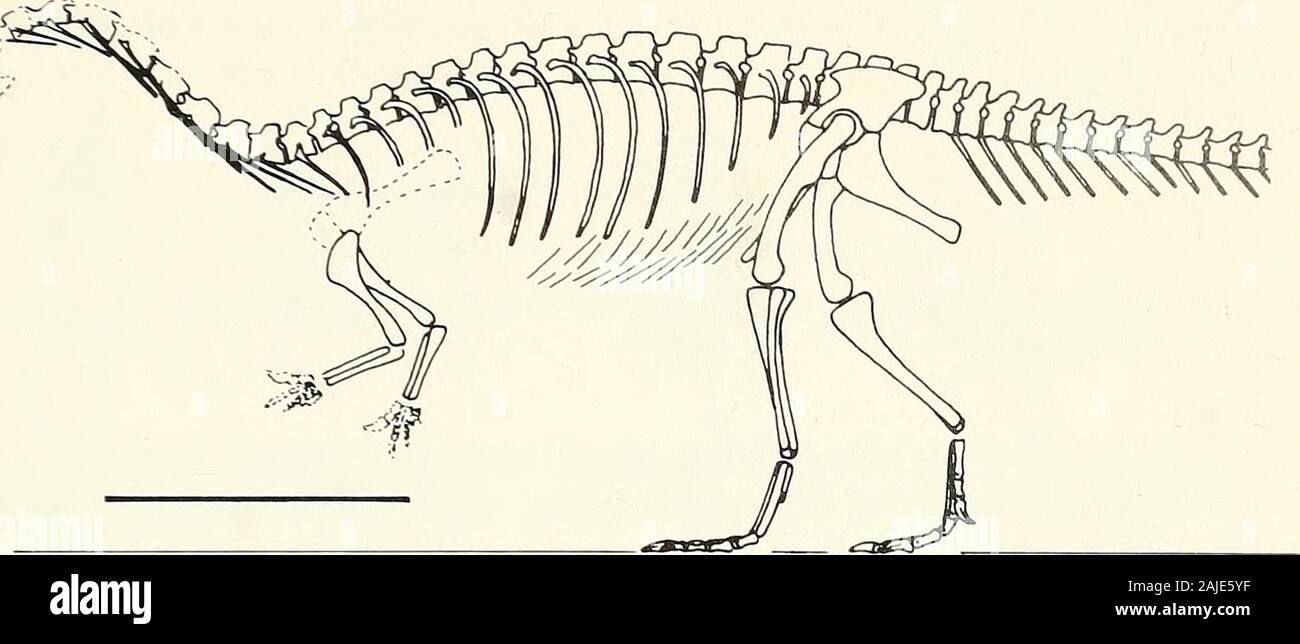 Annals of the South African Museum = Annale van die Suid-Afrikaanse ...