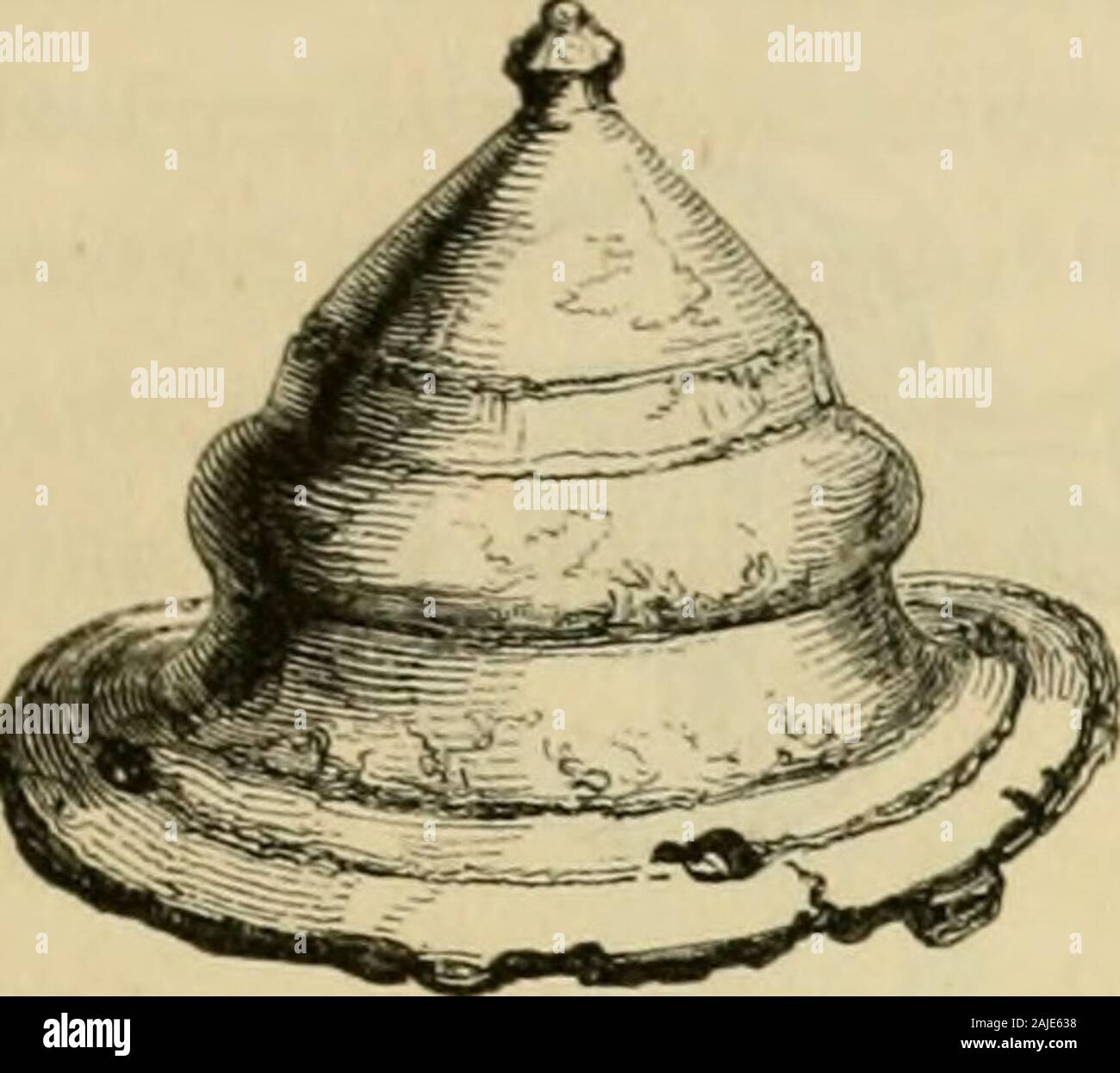 Horse skeleton archaeology hi-res stock photography and images - Alamy