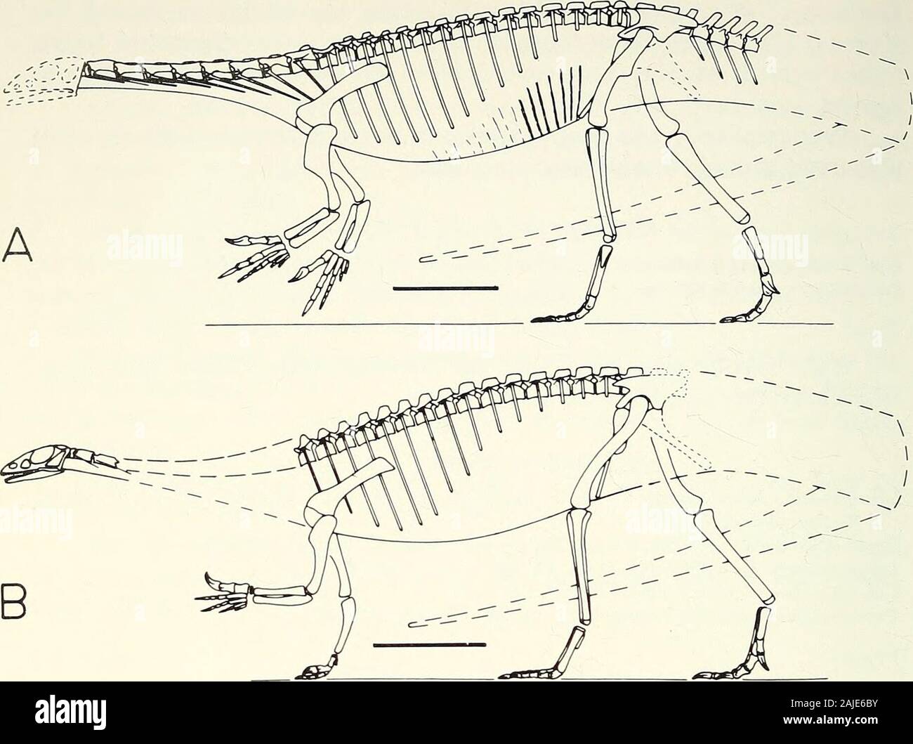 Annals of the South African Museum = Annale van die Suid-Afrikaanse ...