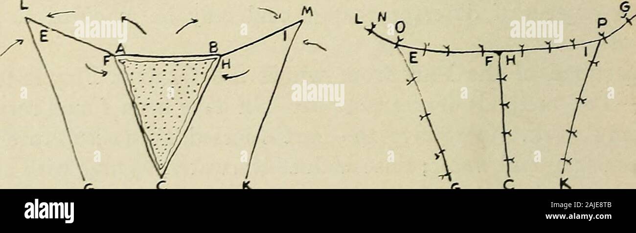 Plastic surgery; its principles and practice . Fig. 10.—Jasches method ...
