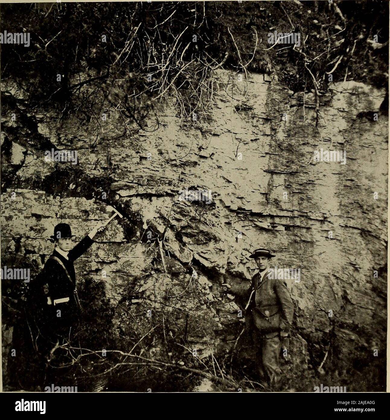 Annual report . Fault plane in the gorge at Fiddlers Green, near ...