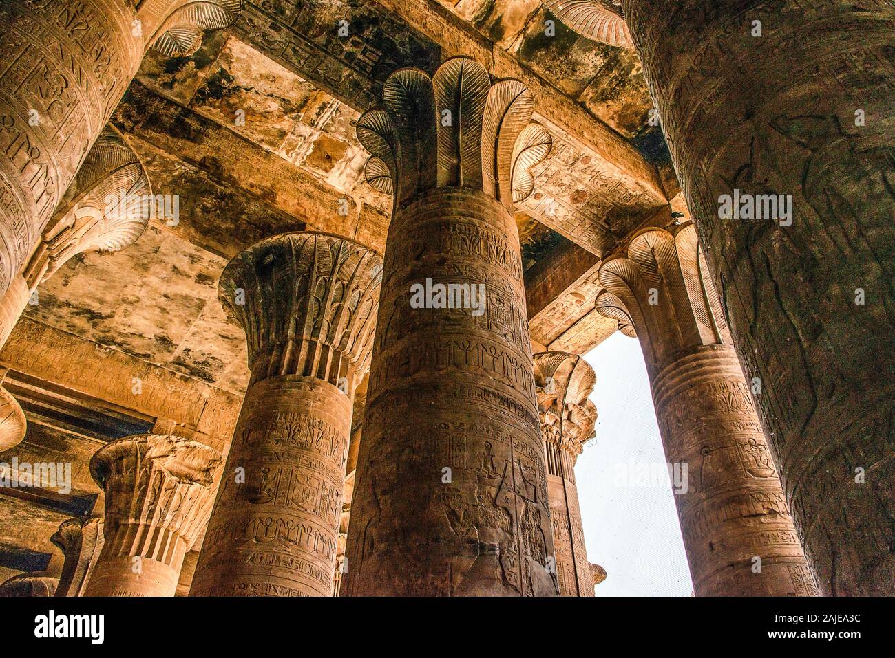 Ancient Egyptian Architecture Columns
