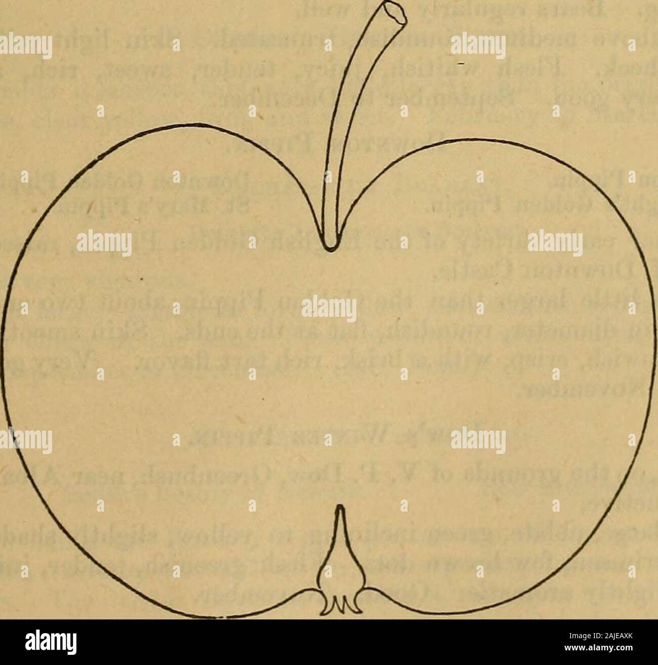 Rambo trees hi-res stock photography and images - Alamy