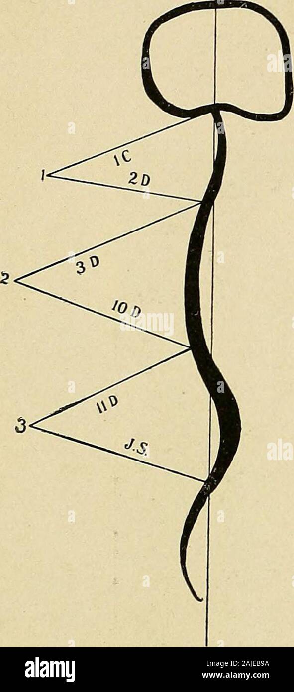 Mal divisions hi-res stock photography and images - Alamy