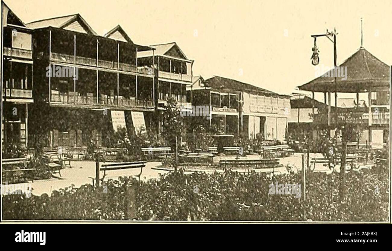 Panama and the canal in picture and prose .. . DISASTER BESET THE ...