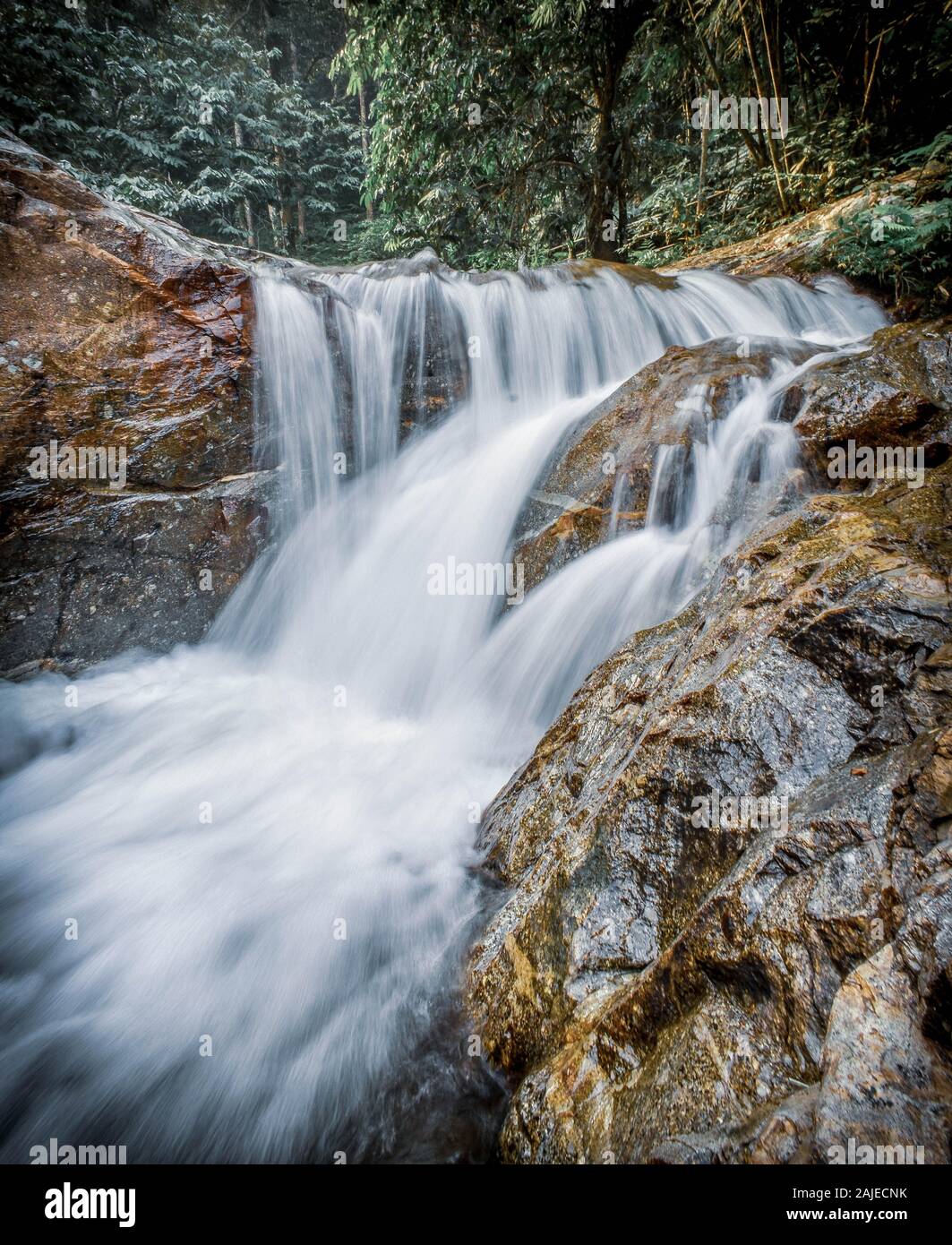 morning natural shower at its best Stock Photo - Alamy