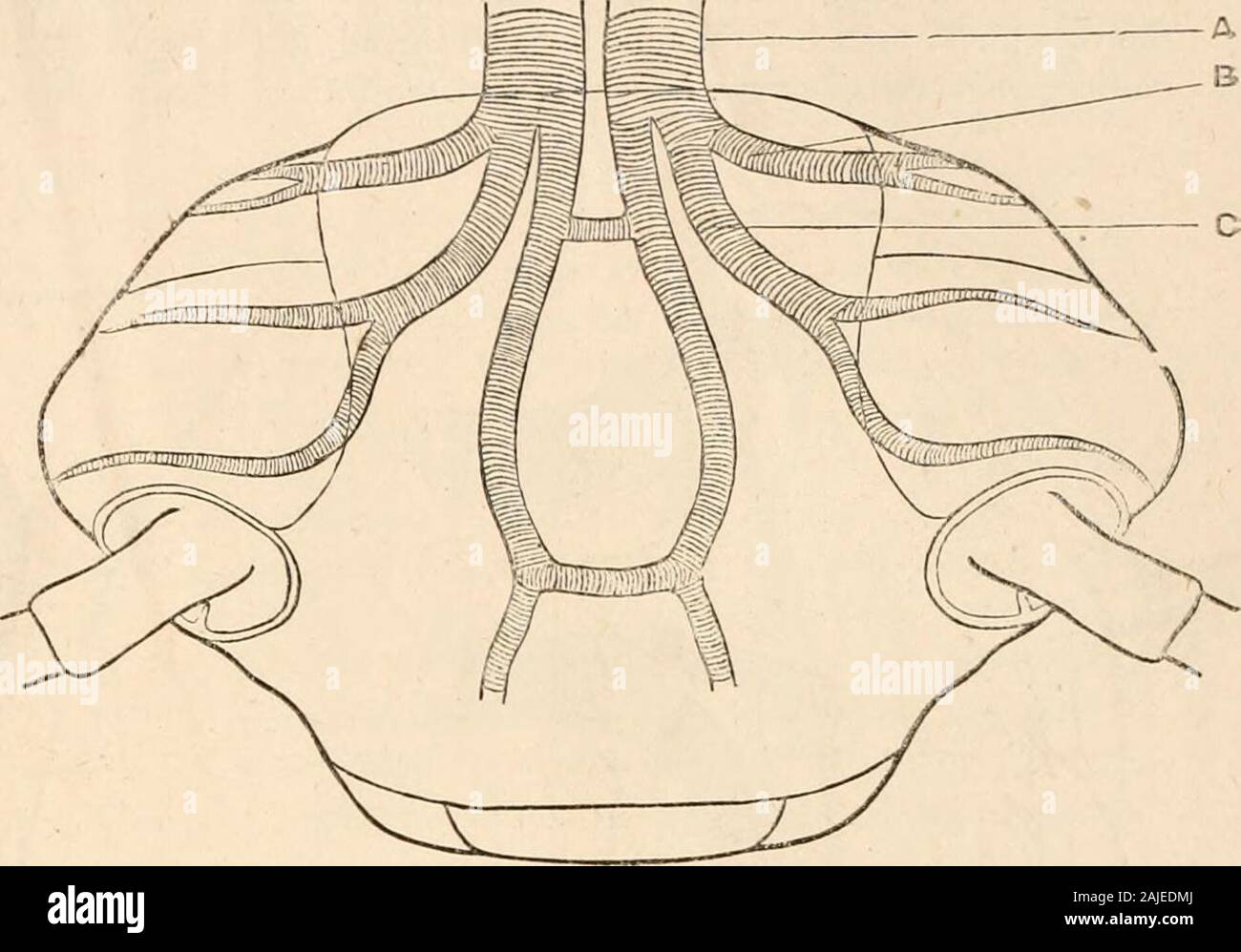 Hardwicke's science-gossip : an illustrated medium of interchange and ...