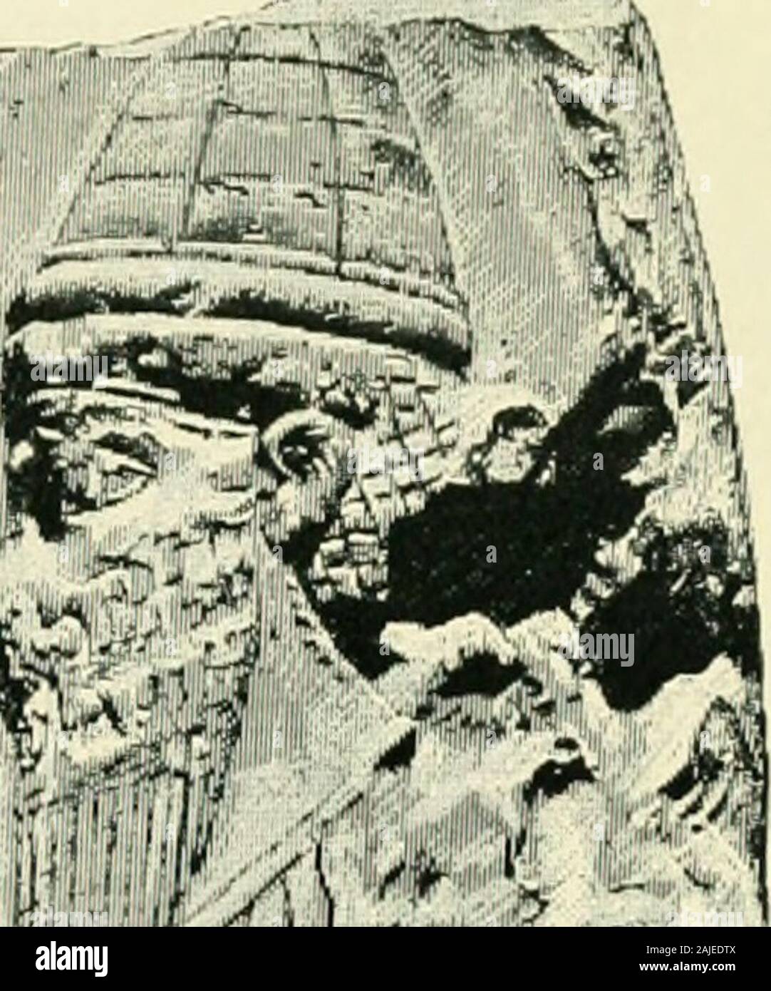 The archæology of the cuneiform inscriptions Stock Photo - Alamy