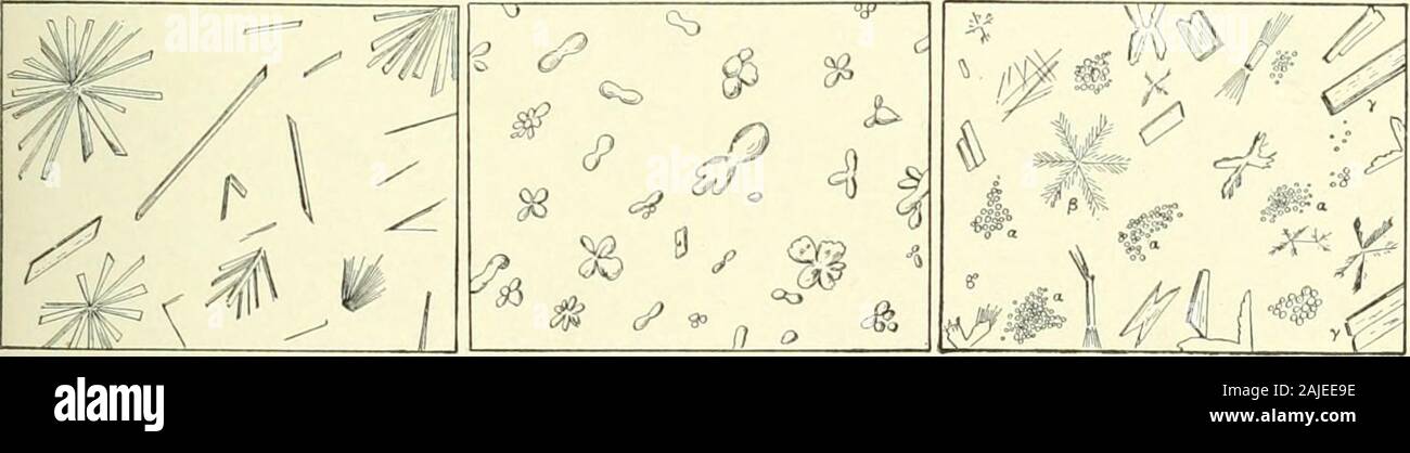 Urate Stock Photos & Urate Stock Images - Alamy