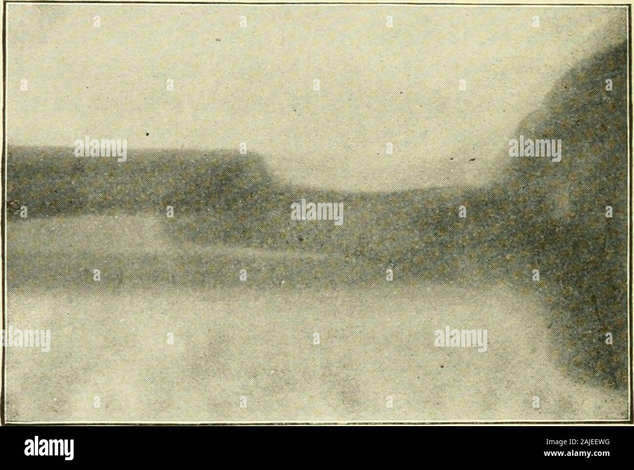 The treatment of fractures . grateful to the patient and promotethe ...