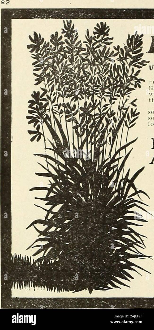 Atgarden hi-res stock photography and images - Alamy