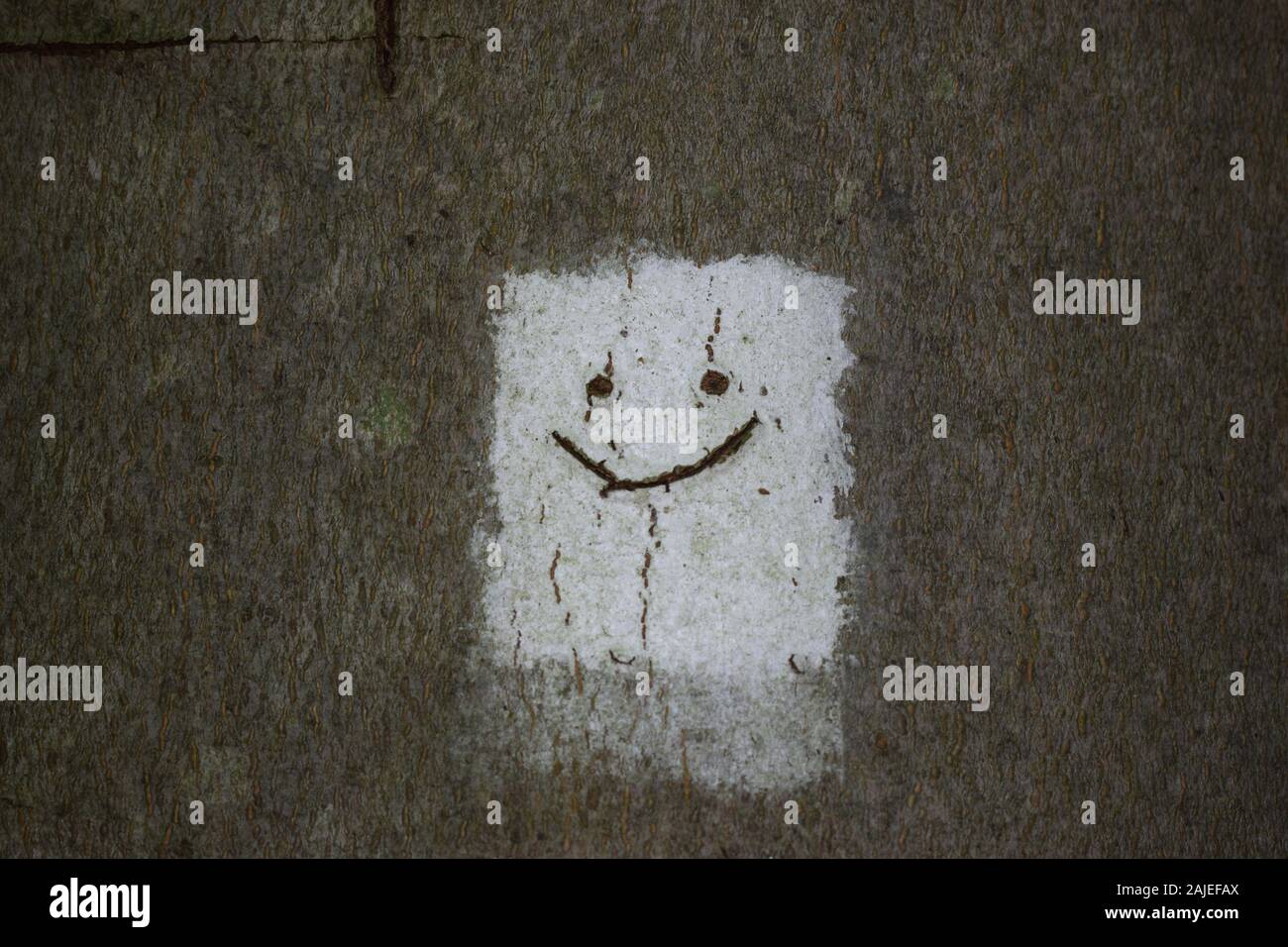 White rectangle or square with black smiley face painted on a tree ...