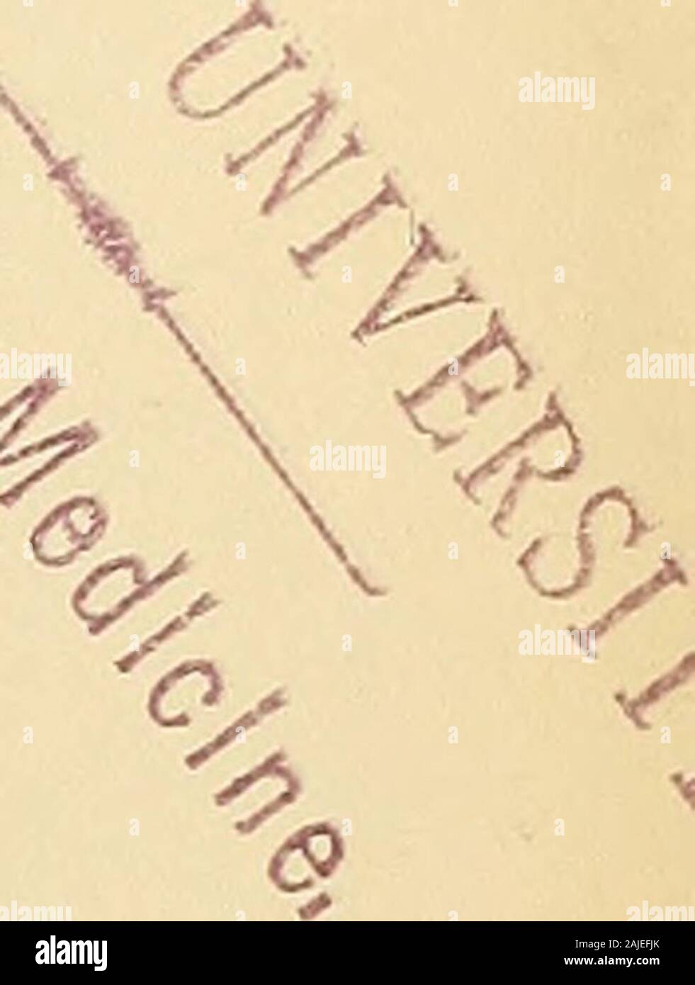 Papular erythema hi-res stock photography and images - Alamy