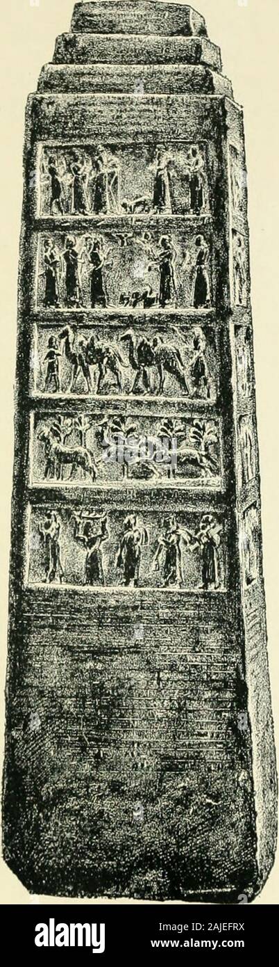 Thickjungle hi-res stock photography and images - Alamy