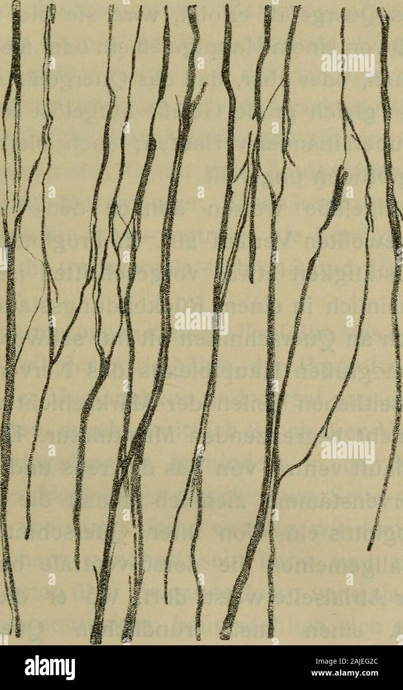 Kurze zeichnung hi-res stock photography and images - Alamy