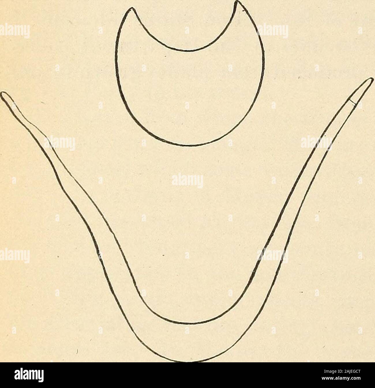 Ceylon bow string hemp hi-res stock photography and images - Alamy