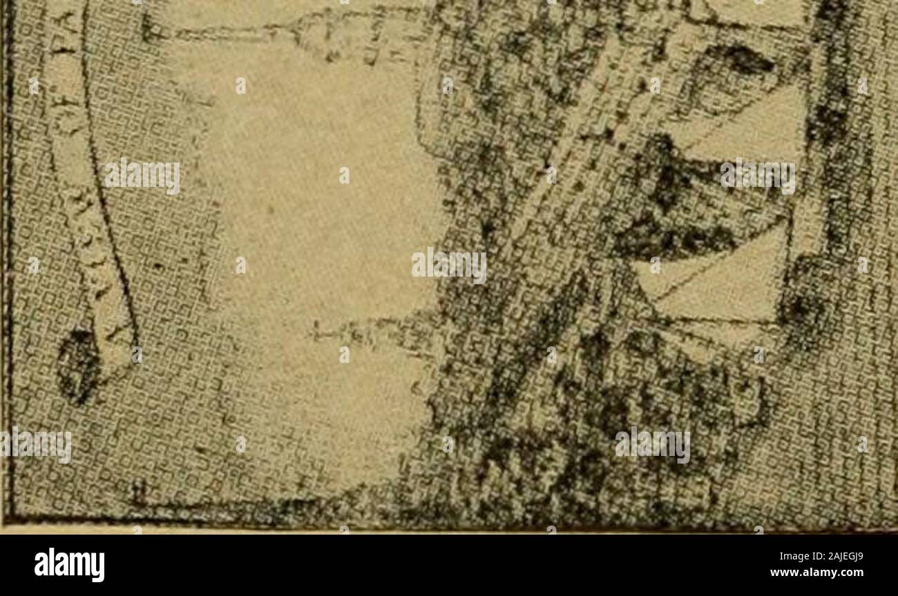 1689 order hi-res stock photography and images - Alamy