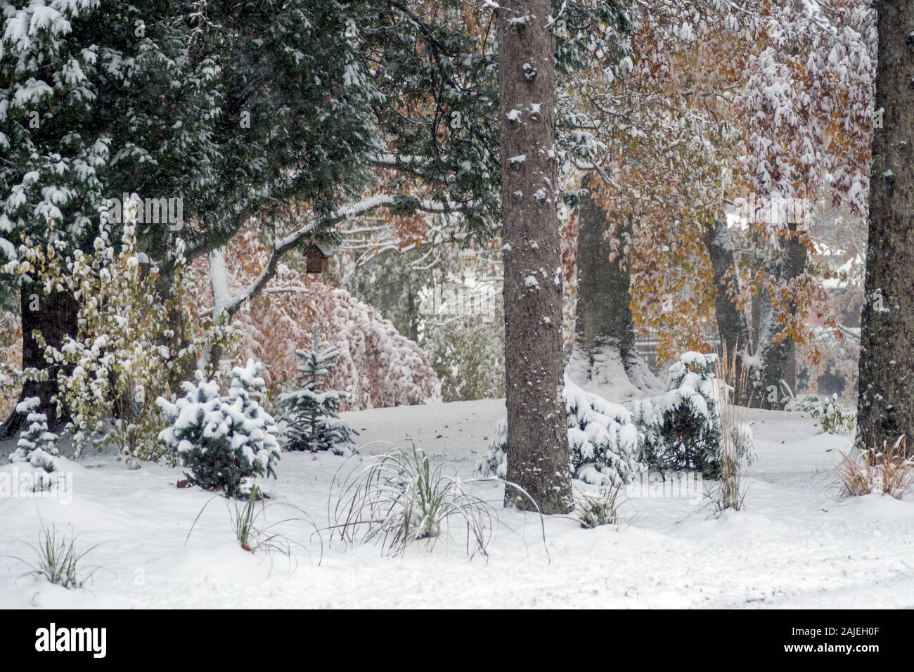 Michigan landscape snow nature hi-res stock photography and images - Alamy