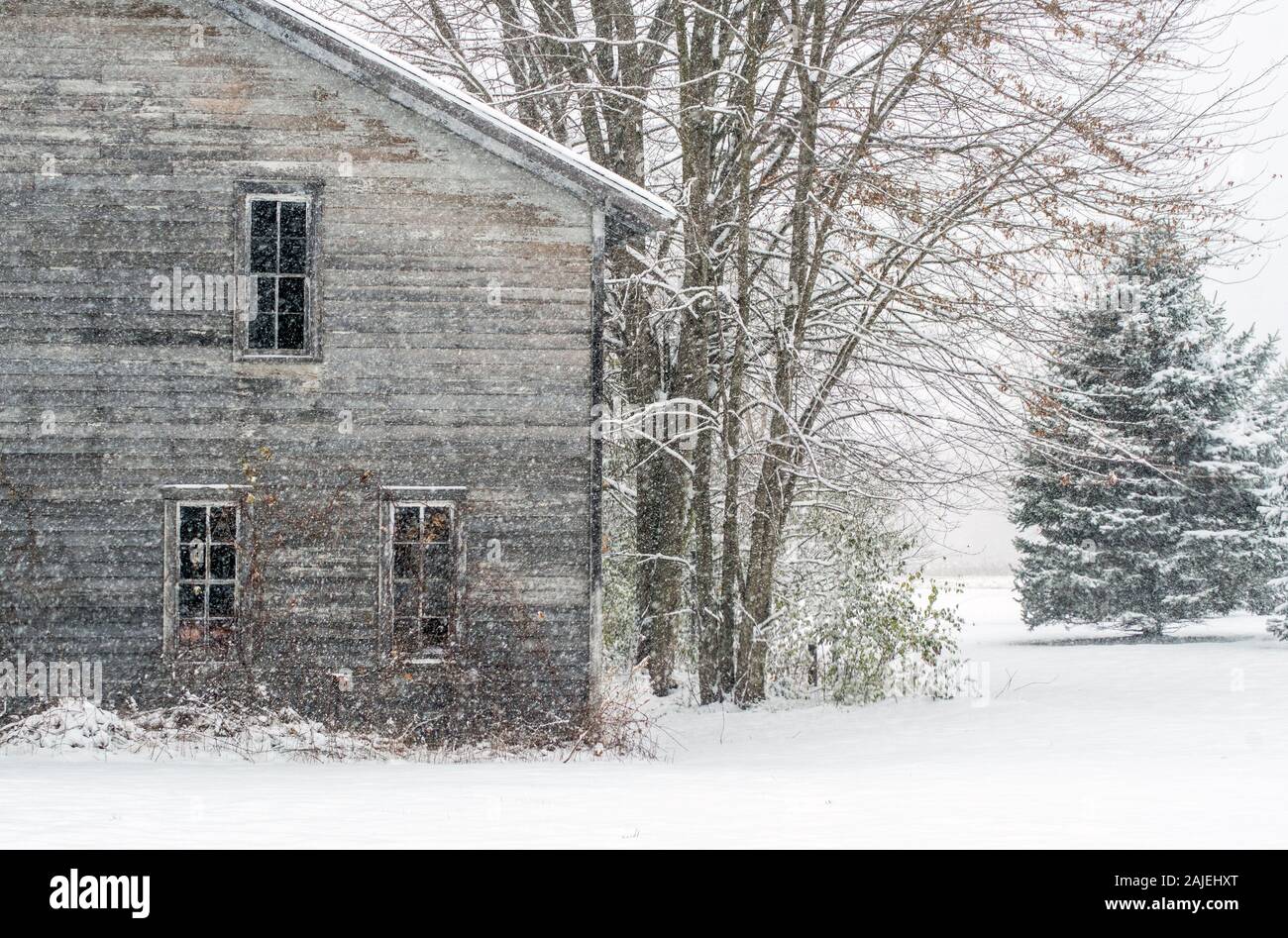 Rustic old farm house stands in a snowy field in rural Michigan USA ...