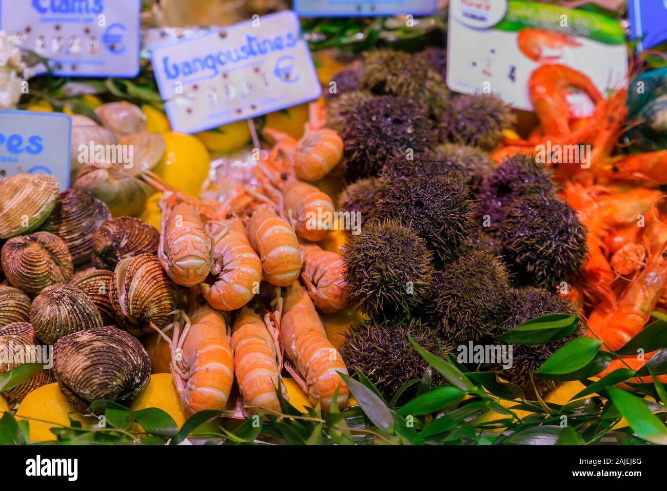Selection of exotic gourmet seafood with clams, shrimp, langoustine ...