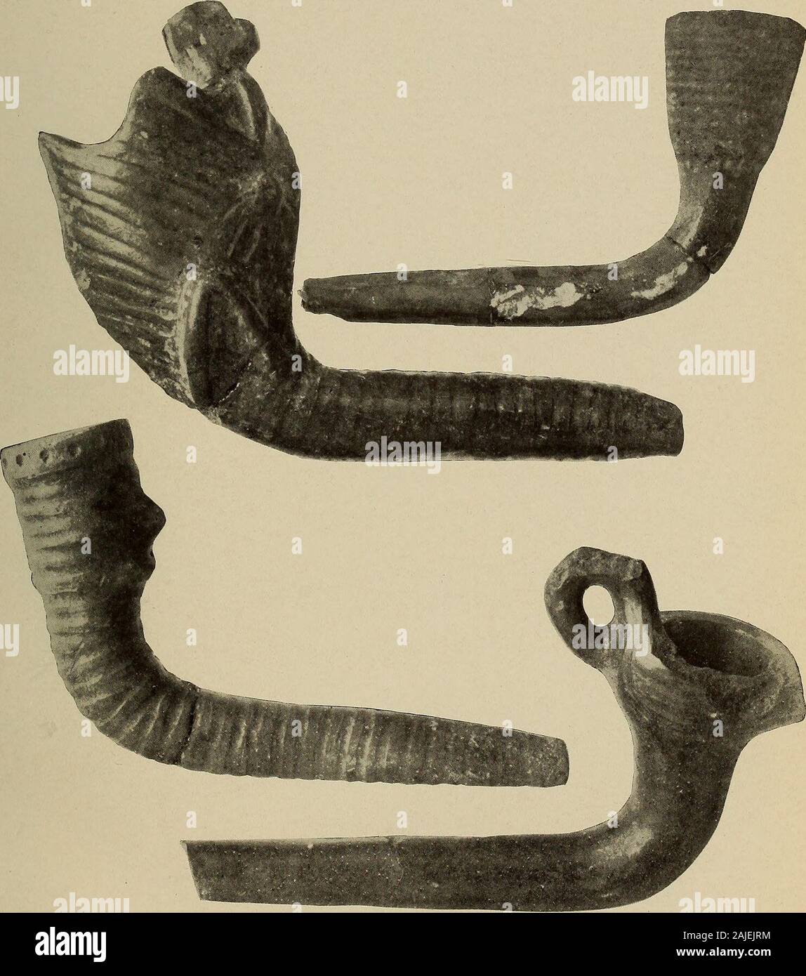 Two larger eyes hi-res stock photography and images - Alamy