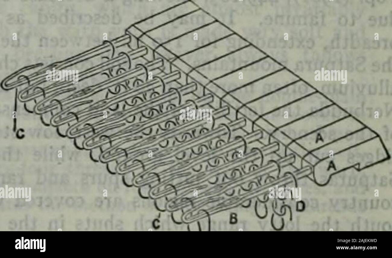 The encyclopædia britannica; a dictionary of arts, sciences, literature ...