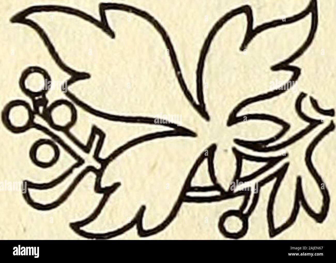 Henrietta map hi-res stock photography and images - Alamy