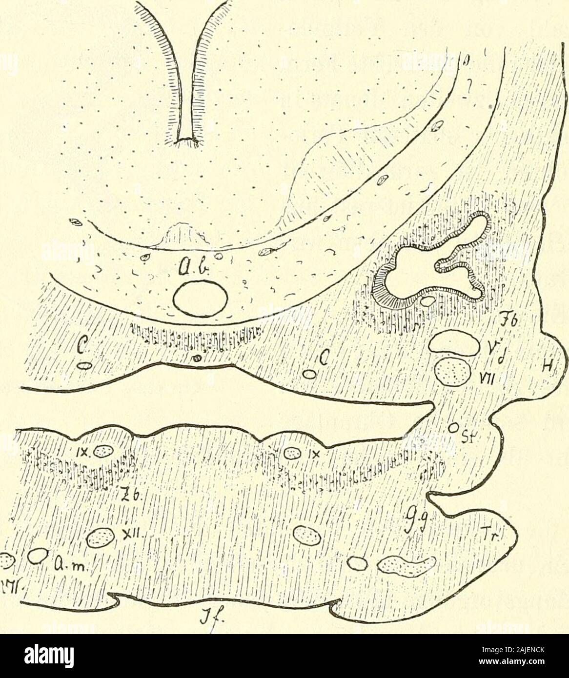 Fissurae hi-res stock photography and images - Alamy
