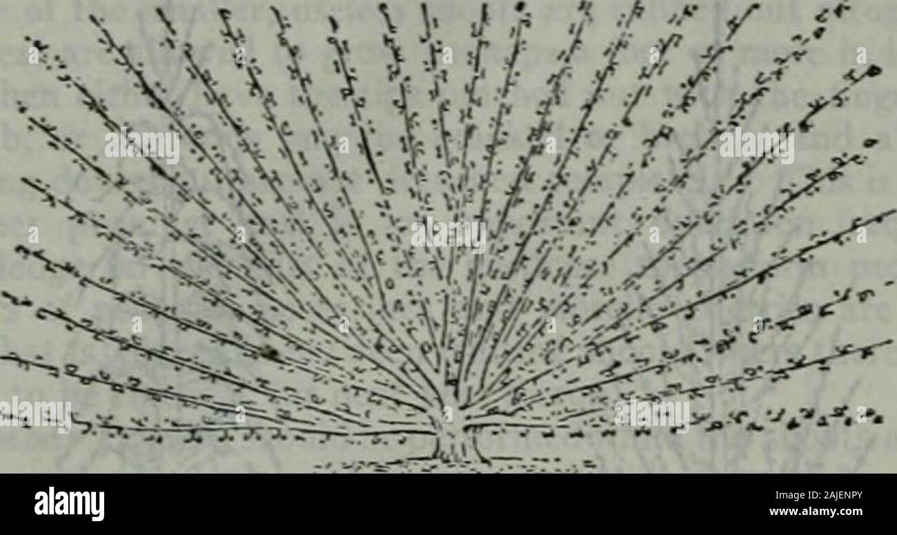 Number 764 hi-res stock photography and images - Alamy