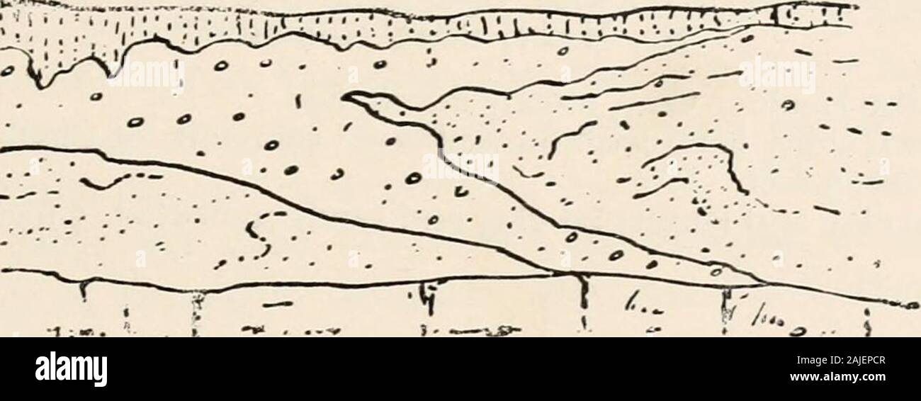 Soil included hi-res stock photography and images - Alamy