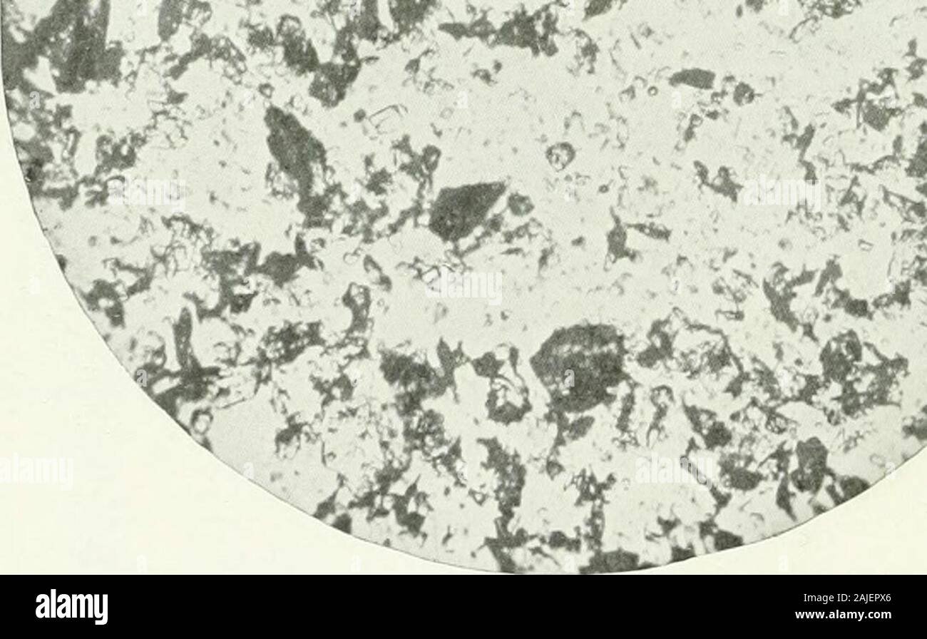 Chemistry of pulp and paper making . -.f. X- Plate 29 Crown Filler ...