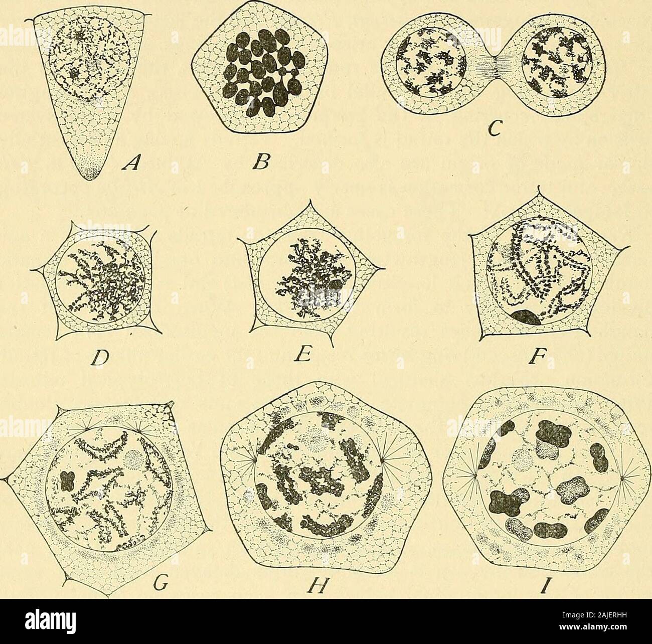 The cell in development and inheritance . 2) reached the conclusion ...