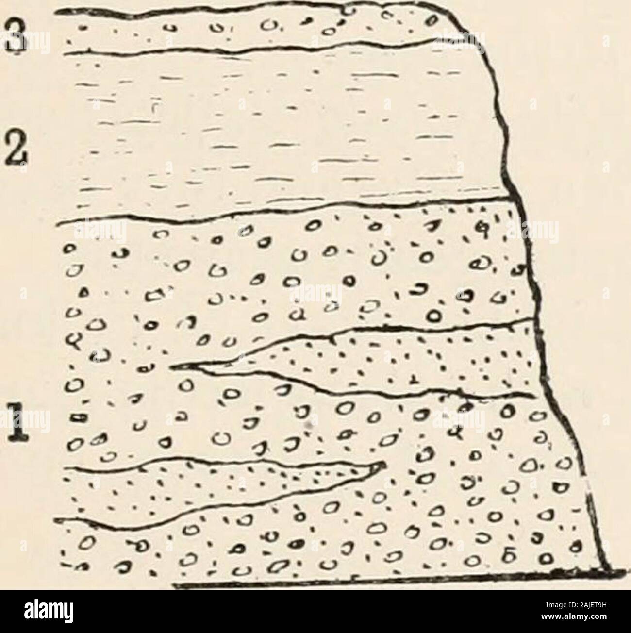 Brown limestone soils hi-res stock photography and images - Alamy