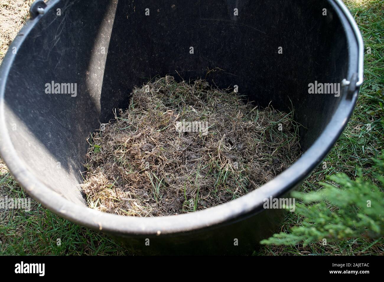 Bucket in the grass hi-res stock photography and images - Alamy